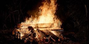 Trust the Viper, or Kill It? An Advent Question | FRANCIS X. CLOONEY, S.J.
